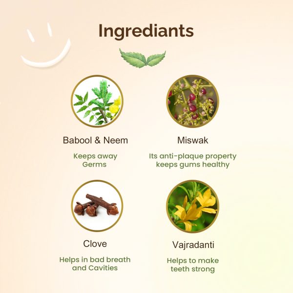 Medicated Ayurvedic Toothpaste for Strong Gum and Shining Teeth
